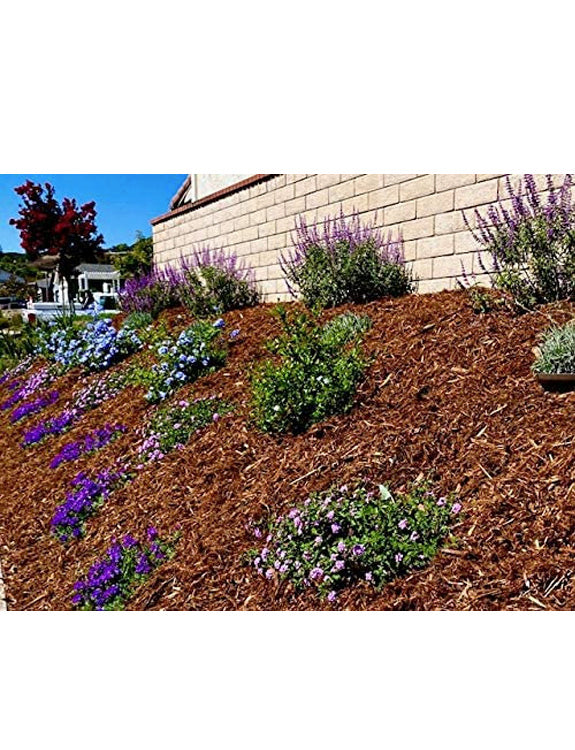 Hillside Planter -Set of (3) D.I.Y Erosion Control Planter – Smart Spring
